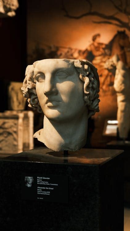 3d 아트 갤러리 고대 그리스 고대 문명 고대 예술 고전 예술 고전 조각 고전적 초상화 고전주의 골동품 곱슬머리 그리스 대리석 머리 돌 조각 동상