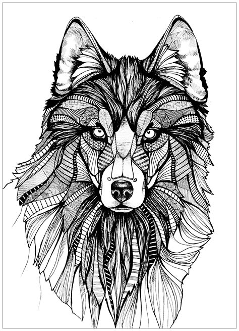Coloriage Loup Animaux Album De Coloriages My Xxx Hot Girl