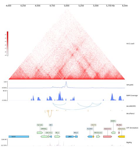 glibc detected pairix malloc memory corruption