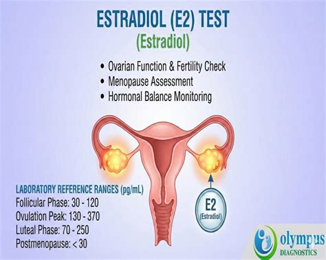 Estradiol E2 Olympus Diagnostics Bangalore