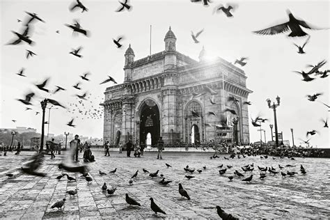 Border Less Namrata Poddars Defiant Storytelling Mint