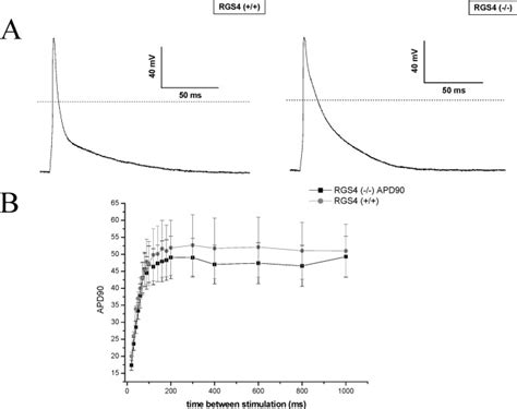 Absence Of The Regulator Of G Protein Signaling Rgs4 Predisposes To
