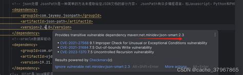 【问题】pomxml文件解决provides Transitive Vulnerable警告xmlcacho37967865