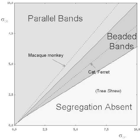 Figure 4 From Different Ocular Dominance Map Formation Influenced By