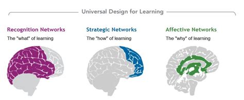 About UDL Universal Design For Learning