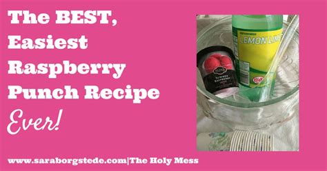 The Best Easiest Raspberry Punch Recipe Ever