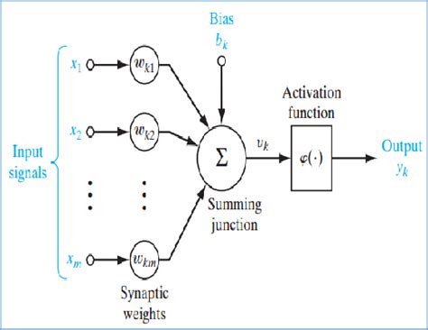 Schematic An Artificial Neuron With M Inputs Download Scientific