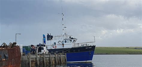 Boy Ryan By Thenewmikefan21 On Deviantart