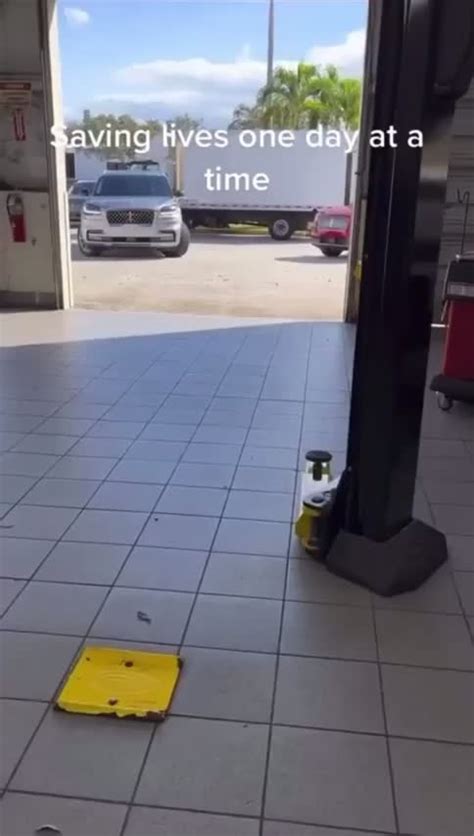 Wholesome Album On Imgur