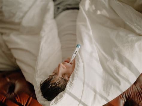 What Is A Traceable Thermometer Homey Gears