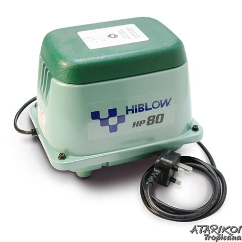 Japan Hiblow 80W