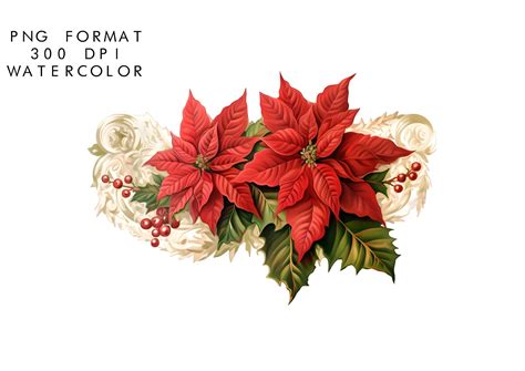 Watercolor Poinsettia Clipart Gráfico Por Watercolorbykr · Creative Fabrica