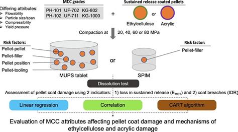 An Evaluation Of Microcrystalline Cellulose Attributes Affecting Compaction Induced Pellet Coat