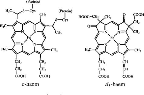 Paracoccus Pantotrophus Semantic Scholar