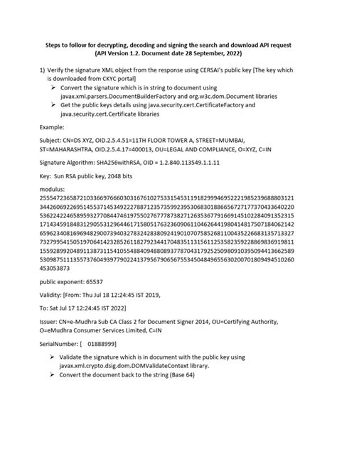 Api Decryption Steps V10 Pdf Encryption Public Key Cryptography