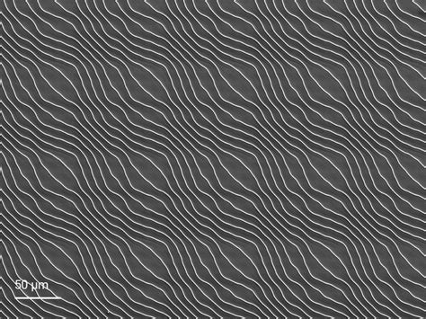 Fabricating Multi Level Diffractive Optical Elements With Nanoscribe