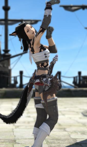 White Rogue Eorzea Collection