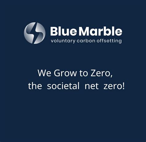 Bluemarble Bluemarbletribe Disruption Innovation Transition