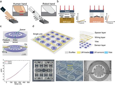 Scientists Develop Soft Robotic Skin That Mimics Human Touch By Sensing