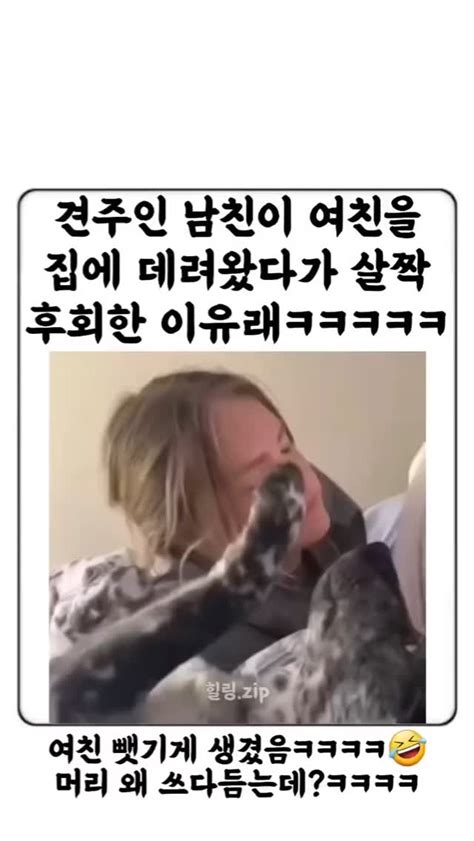 눈치보는 모습 소중해 ㅠㅠㅠ 1일 1힐링은 약속드립니다🤙🏻🫶🏻 힐링이 되셨으면 팔로우🙆‍♂️좋아요🙆 더 많은 힐링모음집은