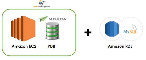 Migrating Oracle To Pdb On Aws Spinsys