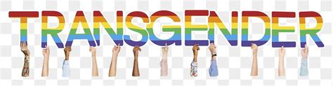 Gender Equal Sign Images Free Photos Png Stickers Wallpapers