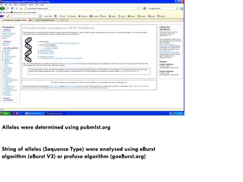 PPT Multilocus Sequence Typing Of Bacteria A Genotypic Tool For Strain Selection PowerPoint