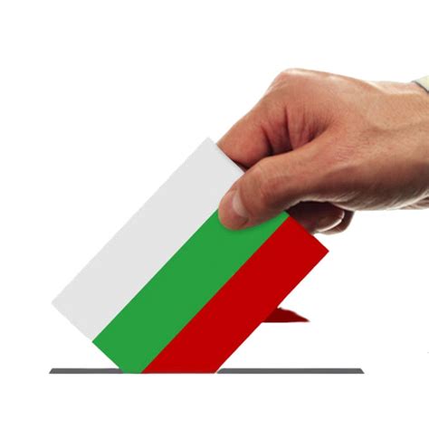 Обществен съвет към ЦИК