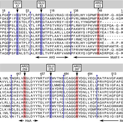 Partial Sequence Comparison Based On The Structure Alignment Of Hisrss Download Scientific