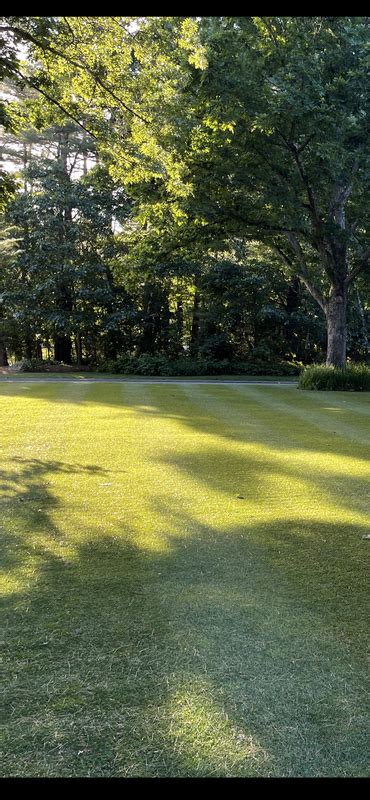 Washboard Effect Lawn Care Forum