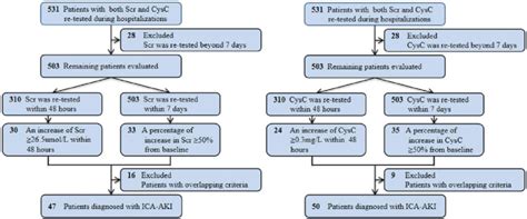 Flow Chart For Diagnosis Of Conventional Ica Aki By Scr Left Panel Download Scientific