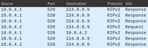 Dynamic Networking Routing Information Protocol Mastering Enterprise Networks