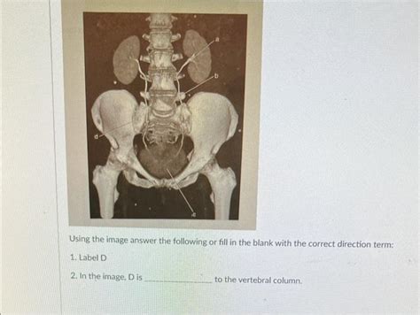 Using The Image Label The Following 1 A 2 BUsing Chegg Com