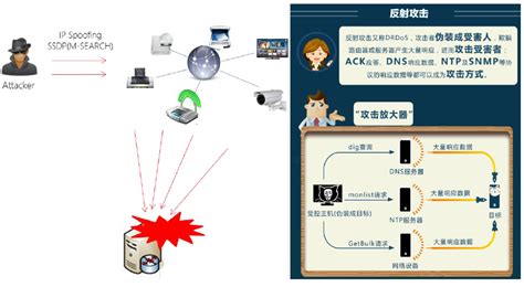 【信息安全原理】——拒绝服务攻击及防御（学习笔记） bind拒绝服务攻击利用条件 csdn博客