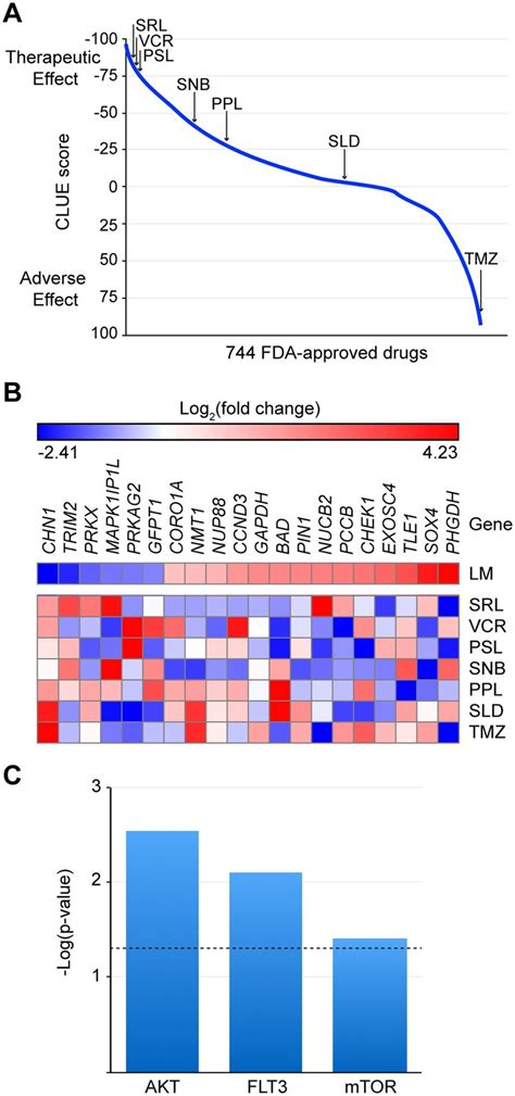 Computational Drug Repositioning Analysis Based On The Lymphatic Download Scientific Diagram