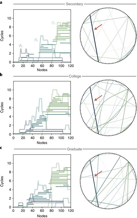 Global Semantic Feature Network Architecture Is Consistent Across