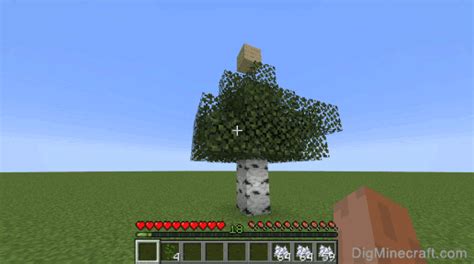 How To Limit The Height Of A Tree In Minecraft