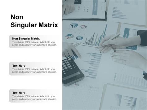 Non Singular Matrix Ppt Powerpoint Presentation Show PowerPoint Slides Diagrams Themes For
