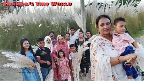 এক ধারে কাশবন ফুলে ফুলে সাদা। কাশফুল বাগান। Kashful Bagan Pabna Zila Youtube