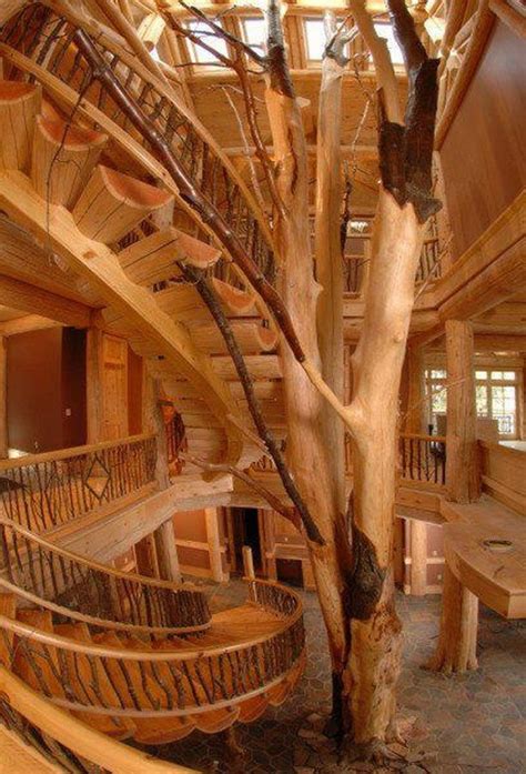 Creative Whole Tree Architecture 6 Unique Ideas The Owner Builder Network