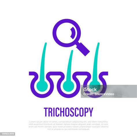 삼과 경 검사 모발과 두피 질환의 의료 진단 돋보기와 머리 여포 가는 선 아이콘입니다 벡터 그림입니다 건강 진단에 대한 스톡 벡터 아트 및 기타 이미지 Istock