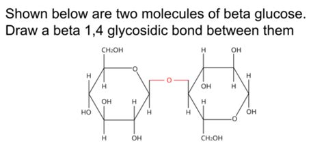 Biology Topic 1 Flashcards Quizlet