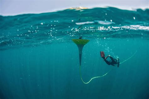 Webinar Sofar Smart Mooring Improving The Reliability And Flexibility Of Subsurface Ocean Sensing