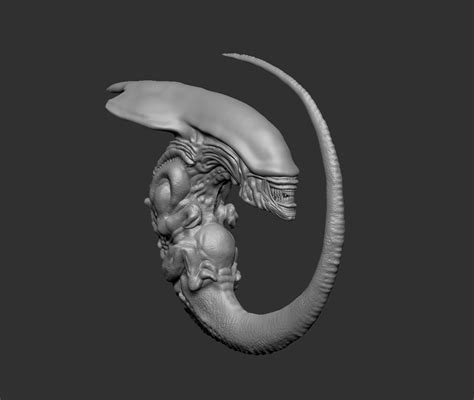 👸 Queen Alien Fetus・ Stl File For 3d Printing・cults