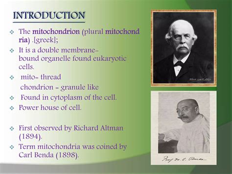Cell Mitochondria Ppt Pptx Biological Sciences Science