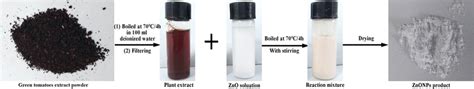Schematic Presentation Of Green Synthesis Of Znonps Using Green