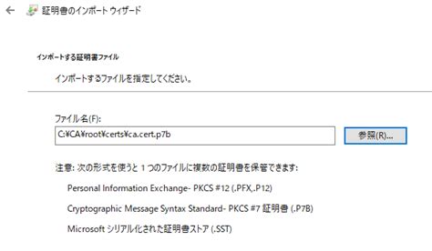 Openssl で認証局 Ca を構築する手順 Windows Openssl Nodejs 環境構築 Nodejs 入門