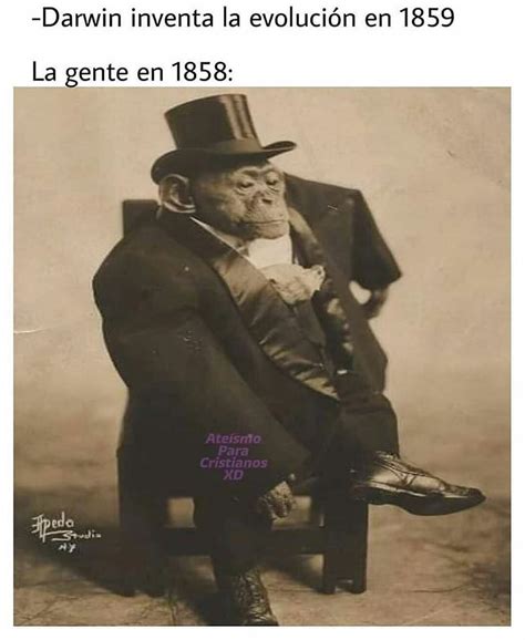 Top Memes De Gaaaaa En Español Memedroid