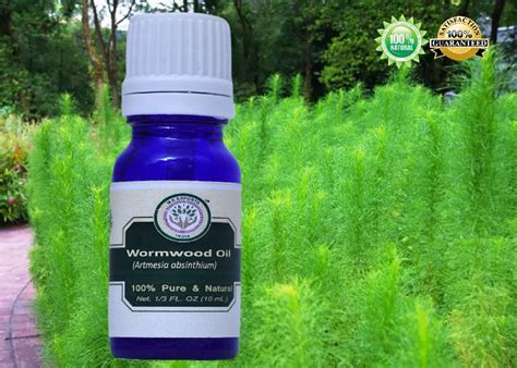 Wormwood Essential Oil At Best Price In Kannauj Id 6568025 M K