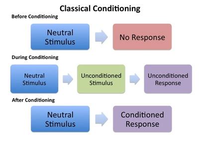 Classical Conditioning Examples